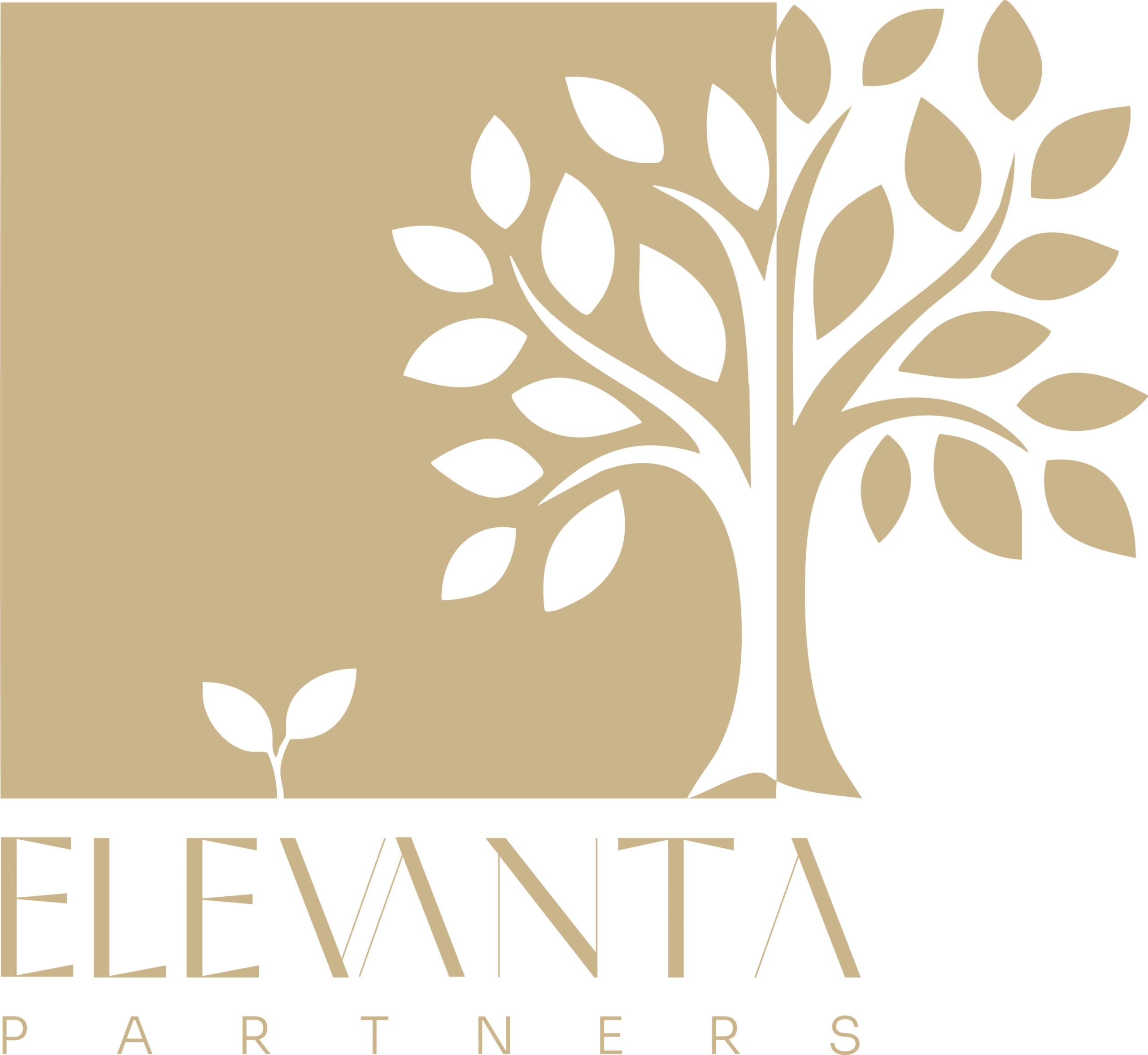 INNOVATE. ACCELERATE. ELEVATE. - Elevanta Partners