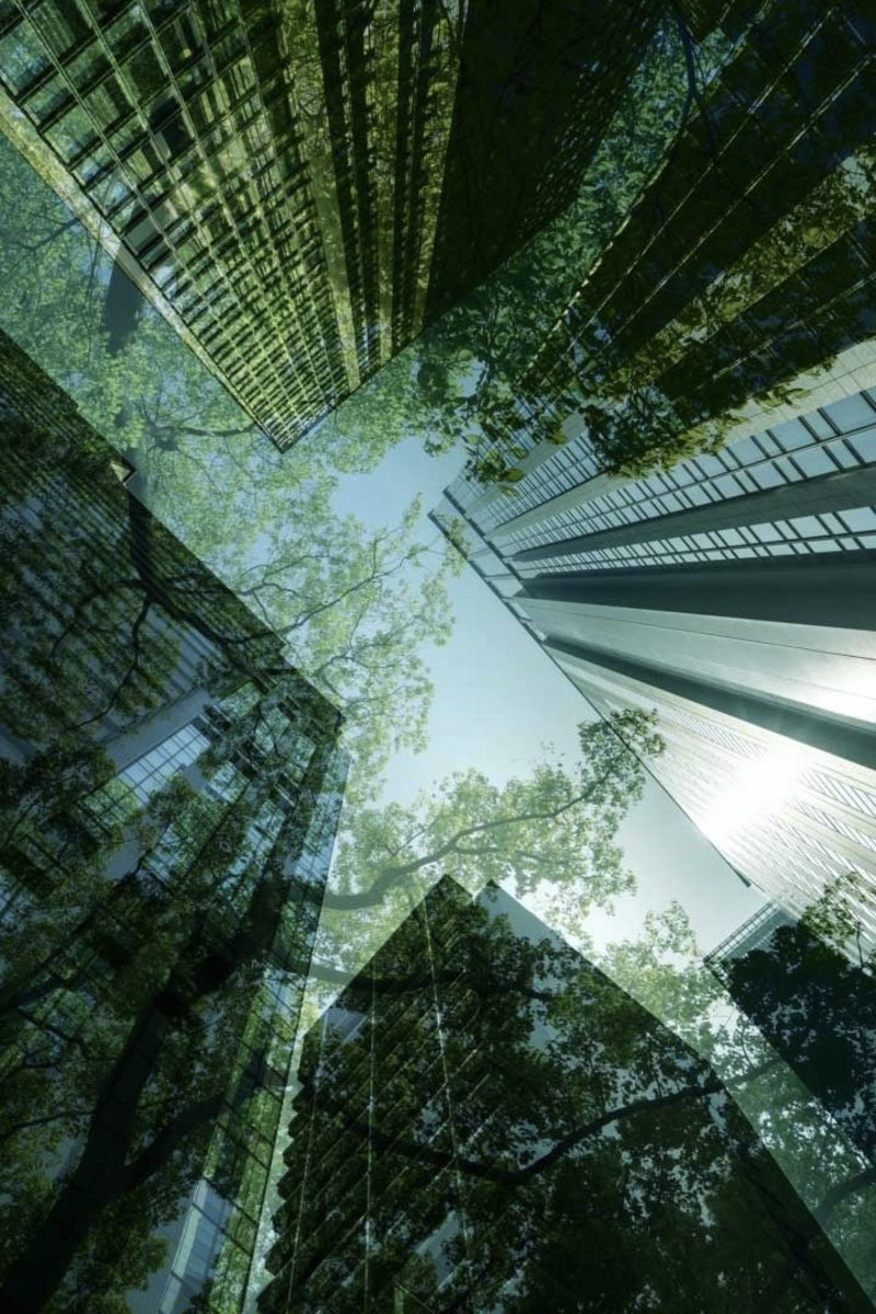 INNOVATE. ACCELERATE. ELEVATE. - Elevanta Partners